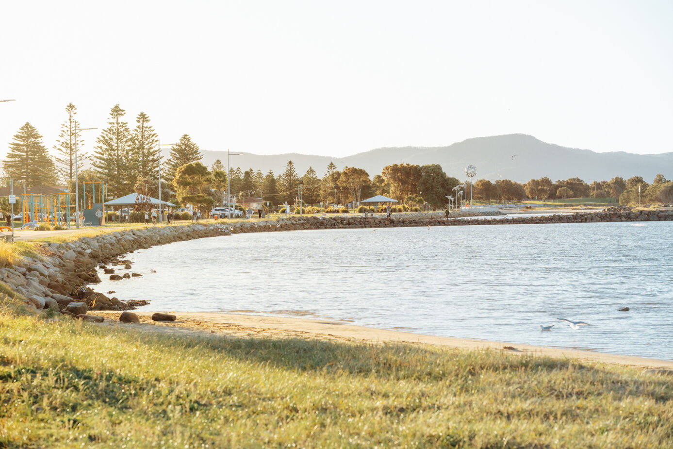Public Art @ Reddall | Reddall Reserve Master Plan in Action | Let's ...