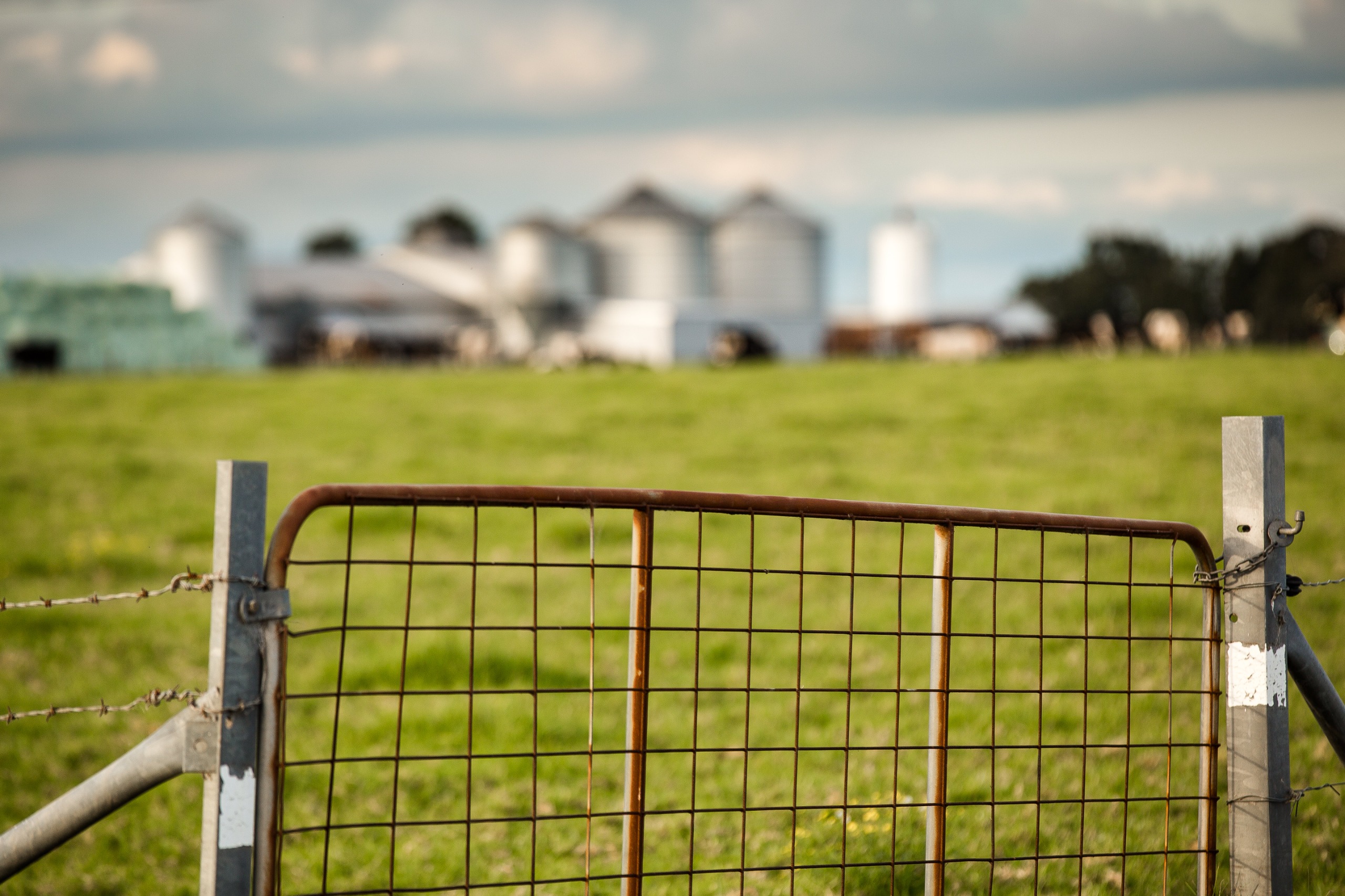 On Exhibition: Rural Lands Strategy | Rural Lands Strategy | Let's Chat ...